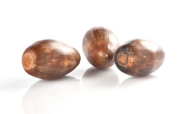 Jamón Ibérico de Bellota 100% | Arturo Sánchez